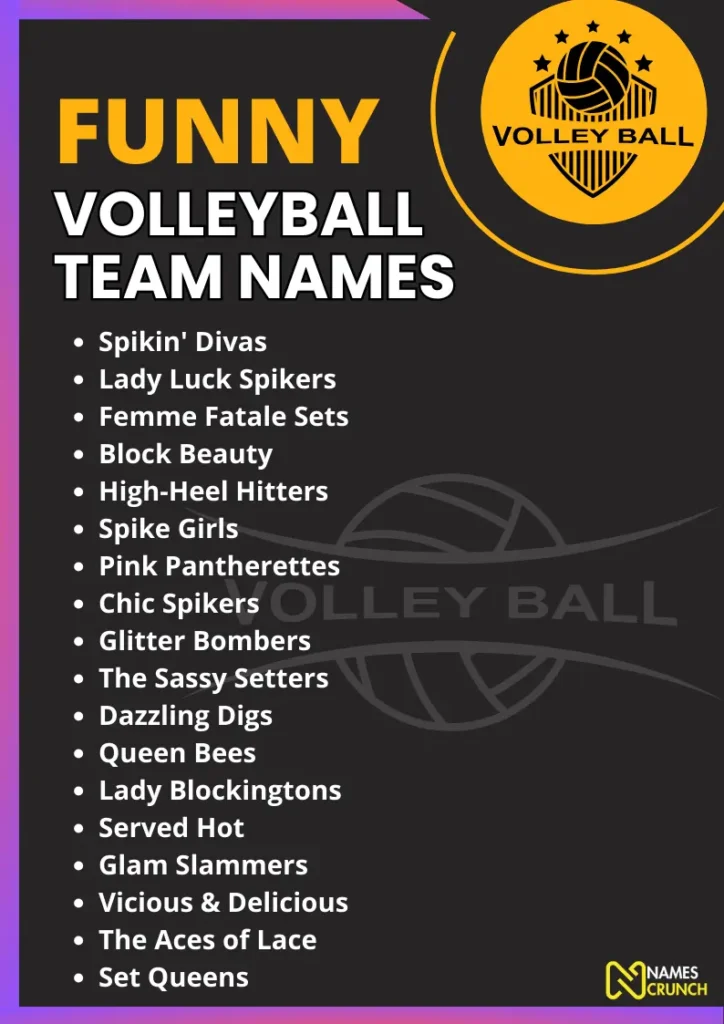 Volleyball Team Names Funny Volleyball Shirts Volleyball Team Names Funny Volleyball Shirts