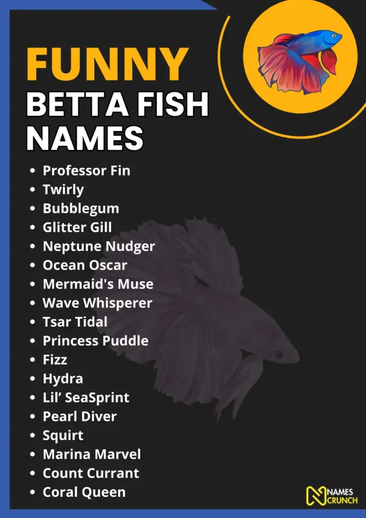 390 Funny Betta Fish Names Meanings Names Crunch