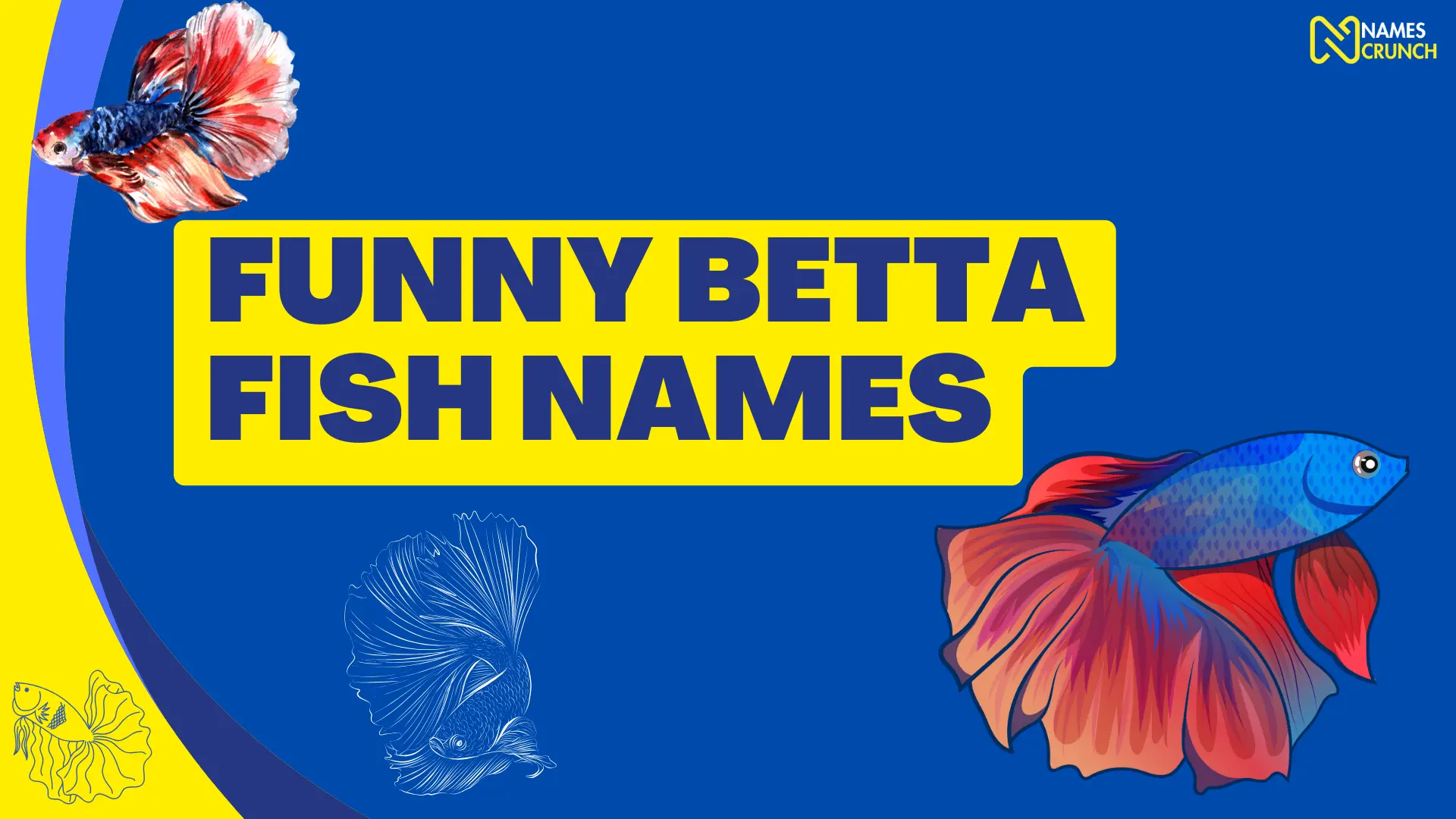 390 Funny Betta Fish Names Meanings Names Crunch