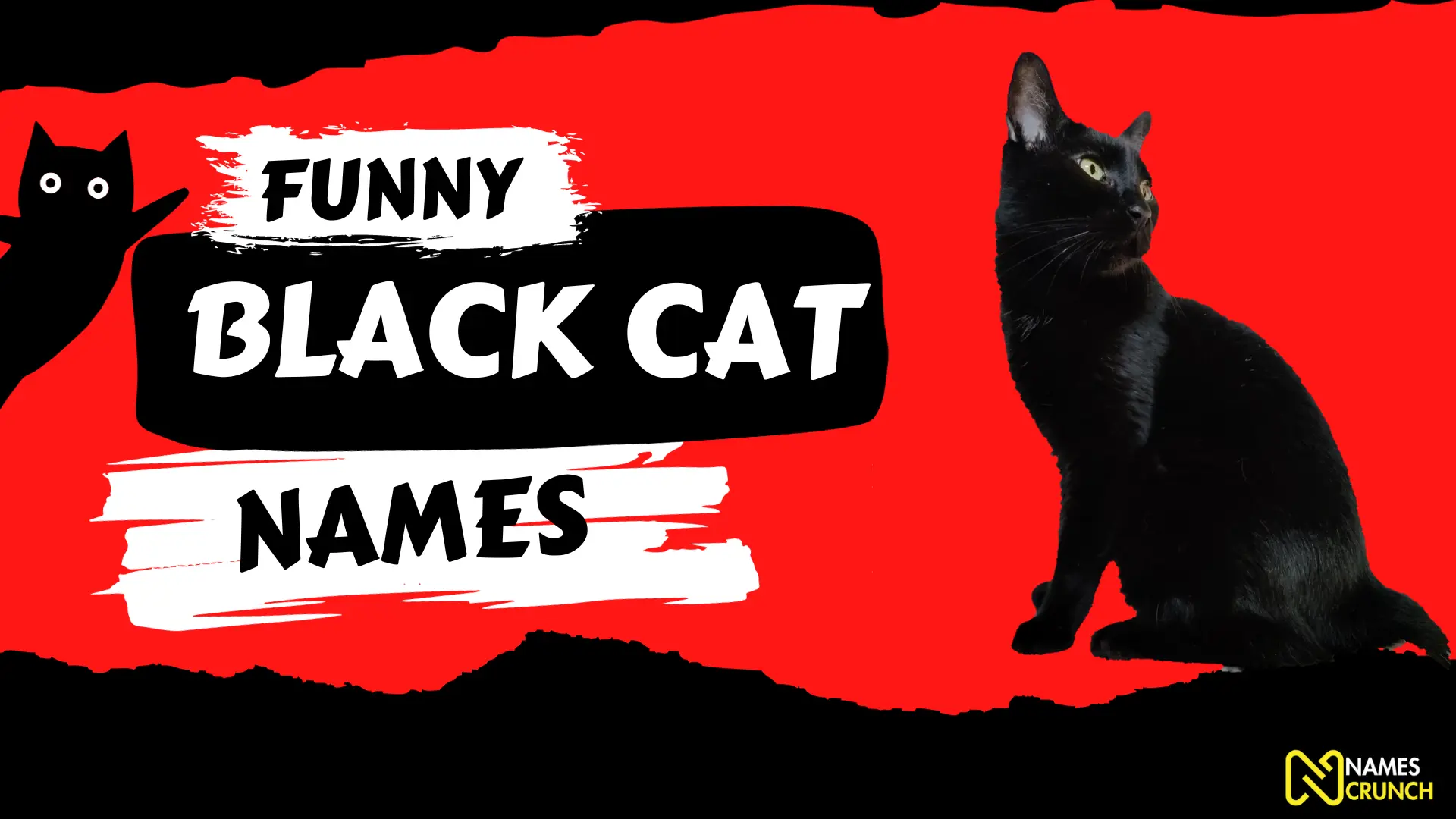 420 Funny Black Cat Names Clever Ideas Names Crunch 420 Funny Black Cat Names Clever Ideas Names Crunch
