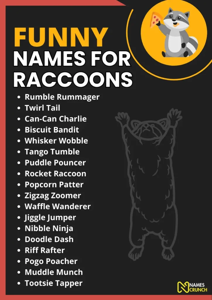 Funny Names For Raccoons 300 Hilarious Ideas Names Crunch