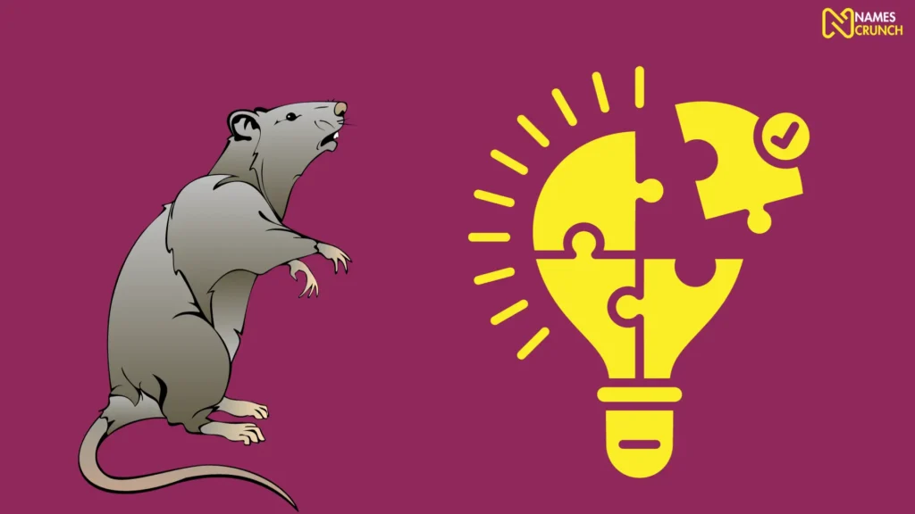 350 Funny Rat Names You ll Love Them Names Crunch 350 Funny Rat Names You ll Love Them Names Crunch