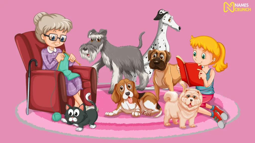 Old Lady Names For Dogs 300 Funny Cute Ideas Names Crunch