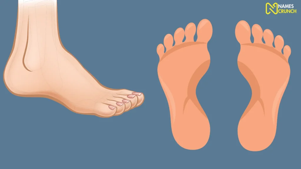 460 Funny Feet Names Clever Ideas Names Crunch 460 Funny Feet Names Clever Ideas Names Crunch