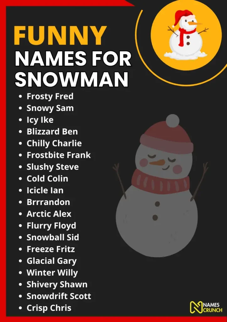 Funny Names For Snowman 290 Clever Ideas Names Crunch Funny Names For Snowman 290 Clever Ideas Names Crunch