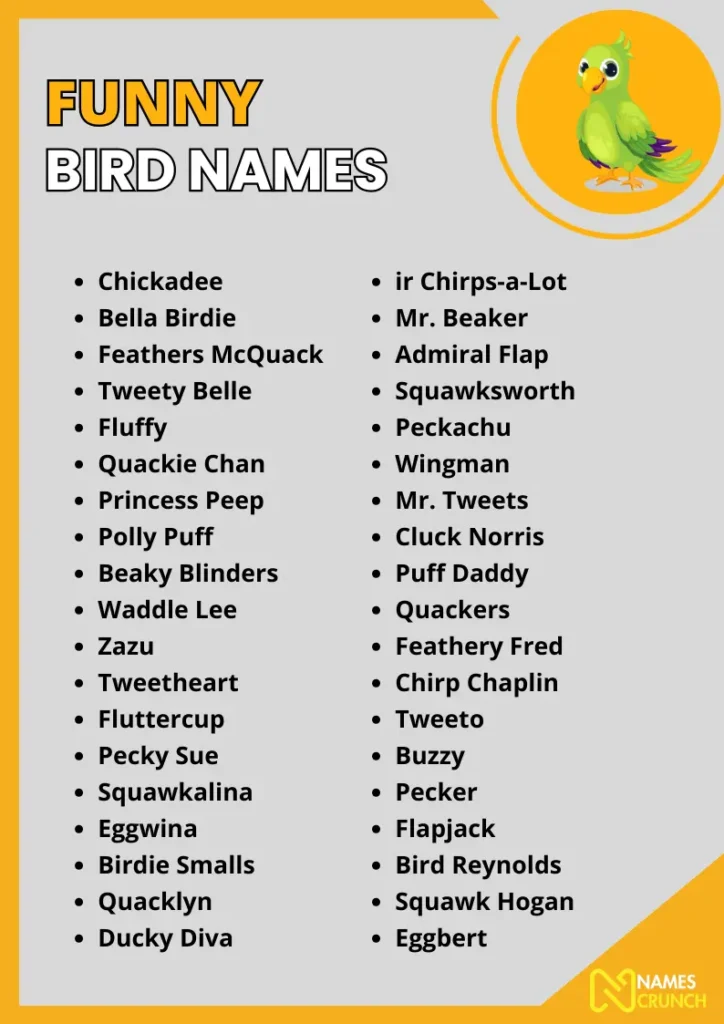 690 Funny Bird Names Best Ideas Names Crunch 690 Funny Bird Names Best Ideas Names Crunch