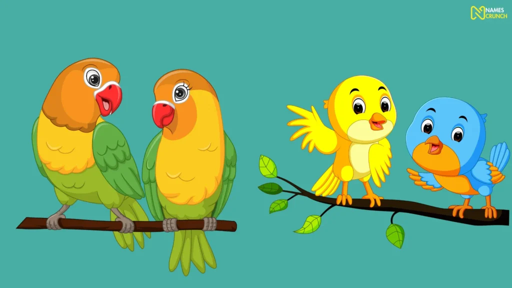 690 Funny Bird Names Best Ideas Names Crunch 690 Funny Bird Names Best Ideas Names Crunch